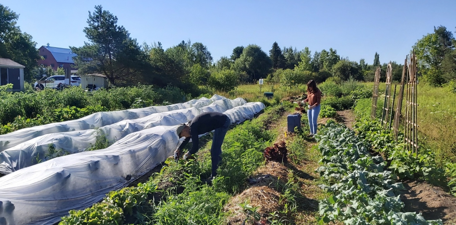About us - Gloucester Community Food Bank